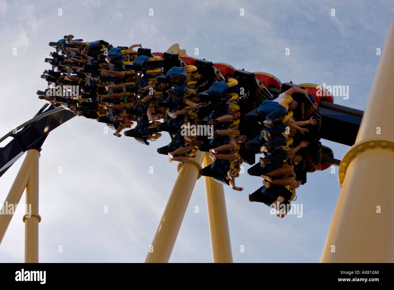 Montu roller coaster busch gardens hi-res stock photography and images ...