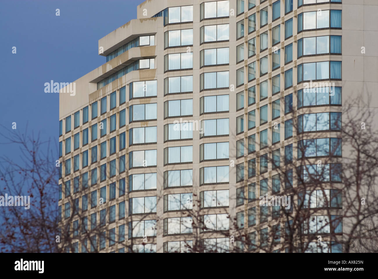 The side of a tall building peeking out over treetops Stock Photo - Alamy