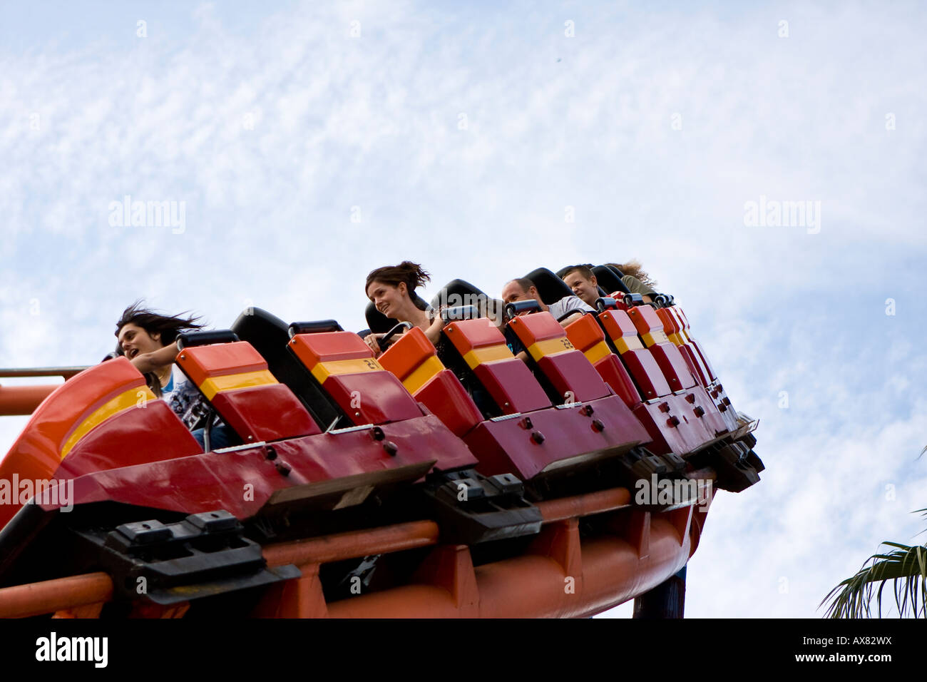 Scorpion Roller Coaster at Busch Gardens Tampa Florida USA Fl U S Stock ...