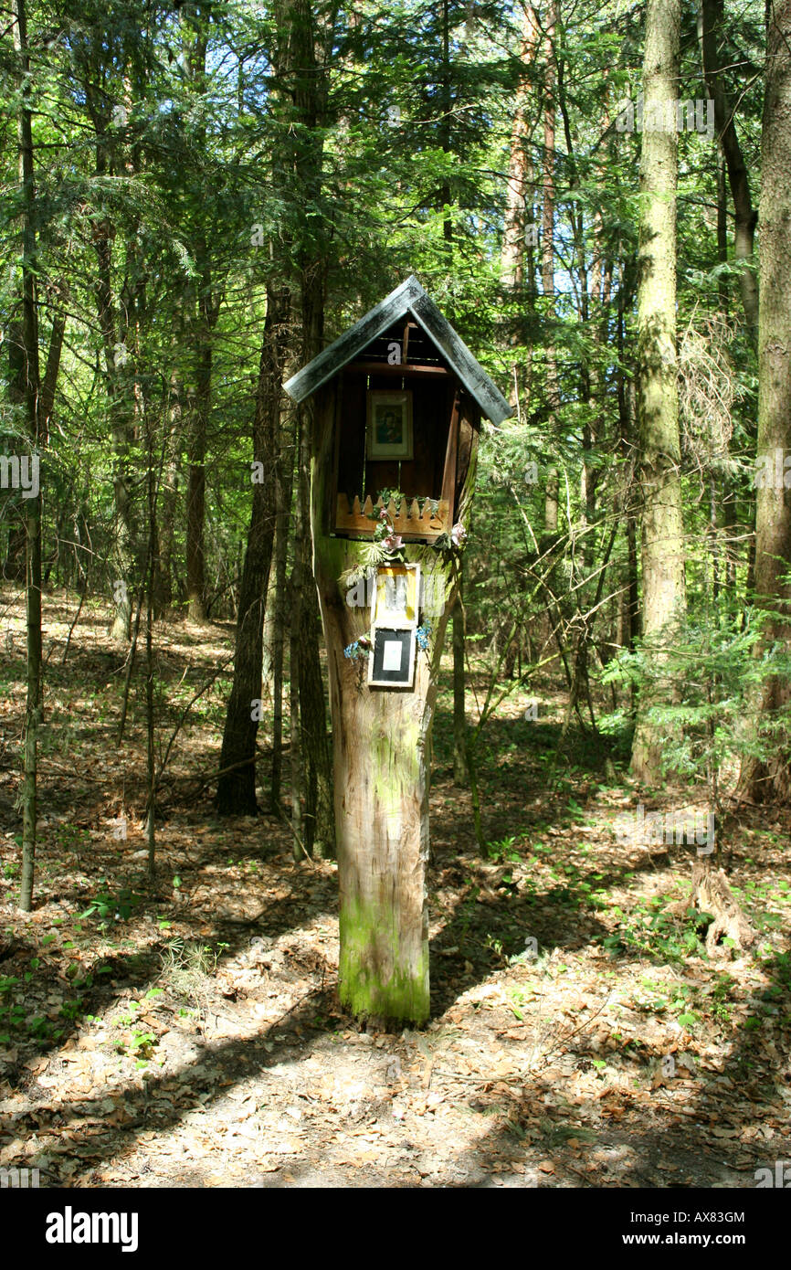 Forest and shrine hi-res stock photography and images - Alamy
