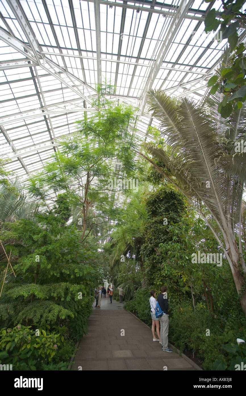 Temperate house Kew gardens UK Stock Photo - Alamy