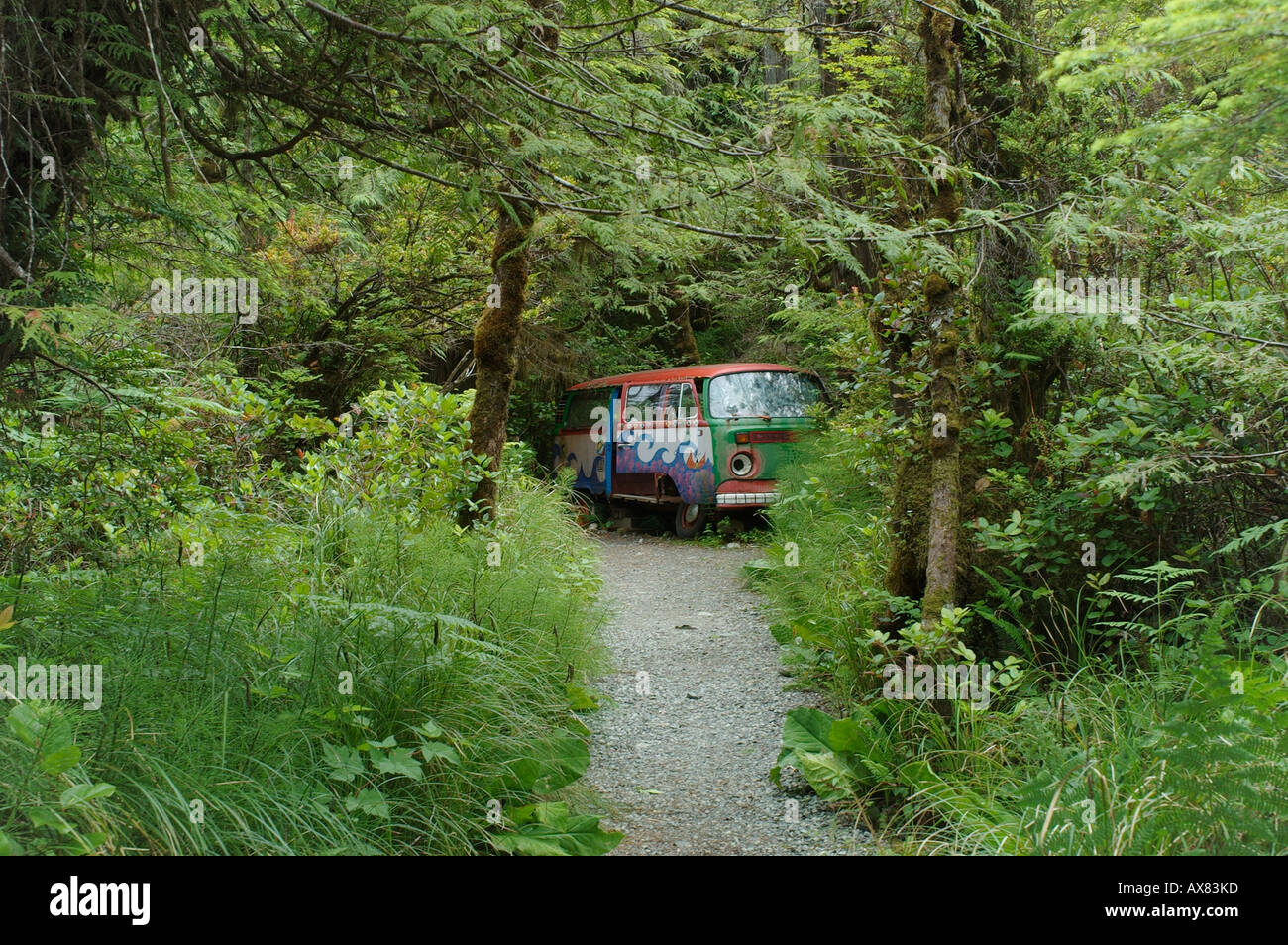 Camper van in woods Stock Photo - Alamy