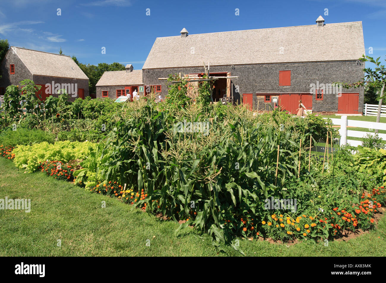 Anne of green gables book hi-res stock photography and images - Alamy
