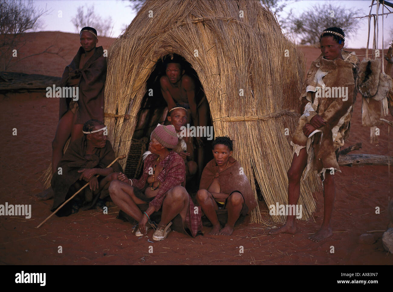 Traditional hut, San people, Intu Africa Kalahari Reserve Namibia Stock ...