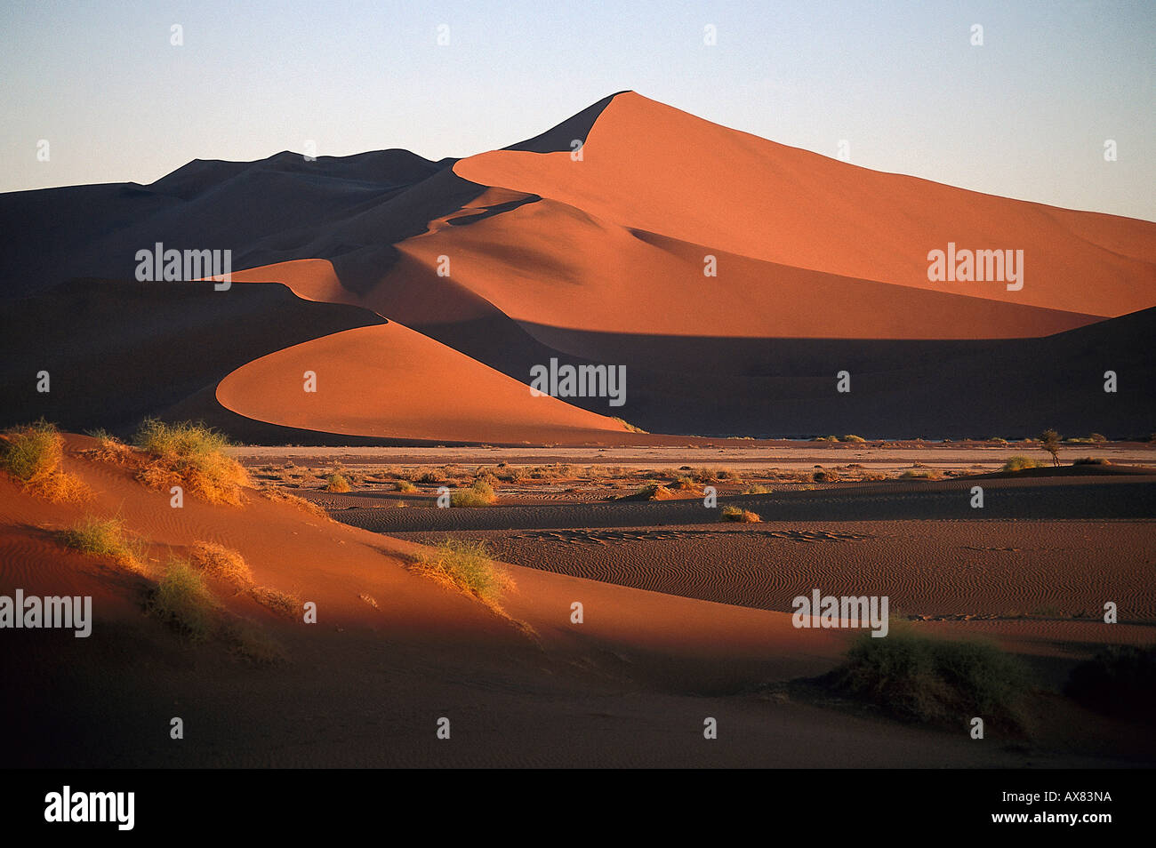 Star dune in the namib desert hi-res stock photography and images - Alamy