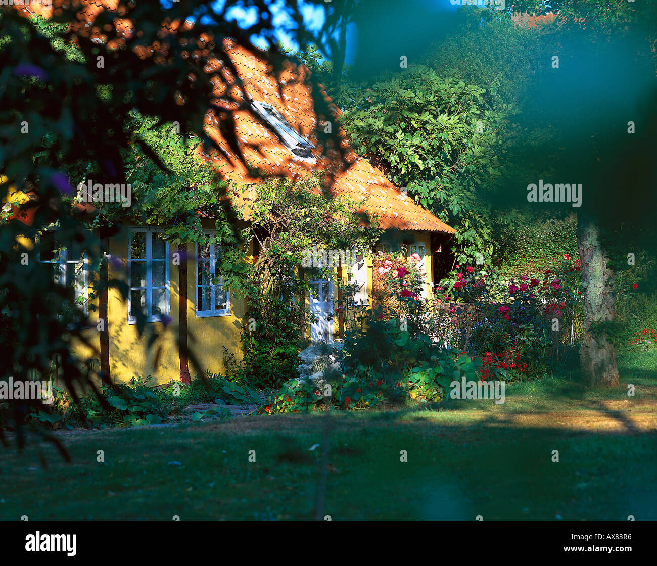 Half-timbered house in a flower garden, Svaneke, Bornholm, Denmark ...