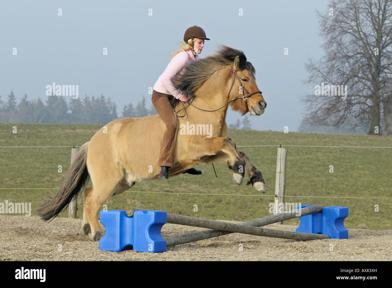 Horses Jumping Without Rider