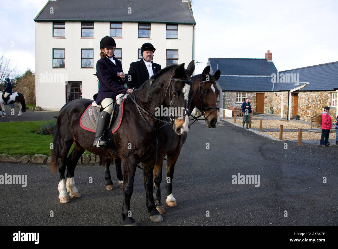 Riders on Horses at fox hunt meeting, Pembrokeshire, Wales Stock Photo ...