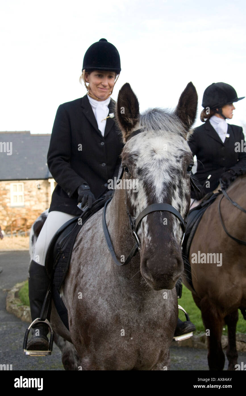 Riders on horses at fox hunt meeting, Pembrokeshire, Wales Stock Photo ...