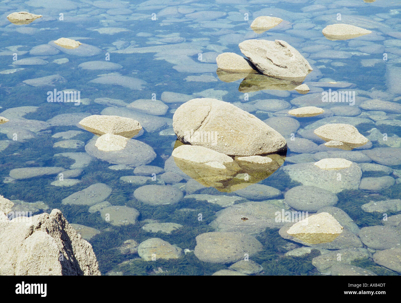 Stones in the water Stock Photo - Alamy