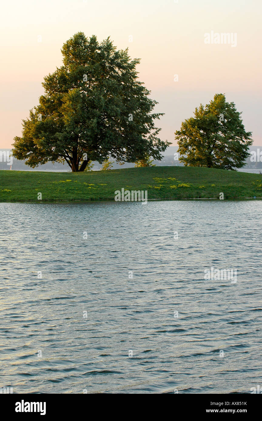 A couple of trees on a small island at Andrew Haydon Park in Ottawa ...