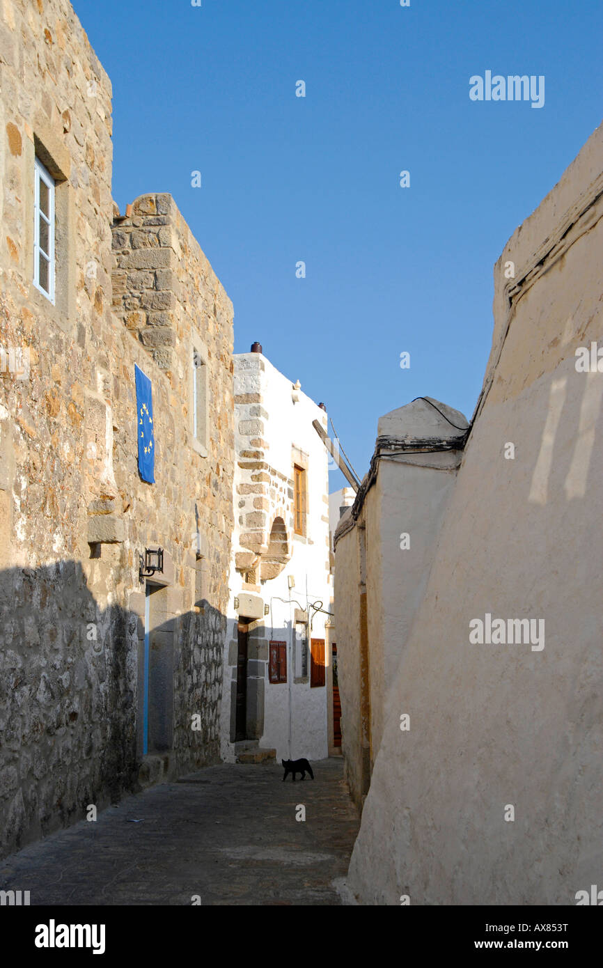 E.U. (European Union) flag on wall and cat in street, Hora (Chora ...