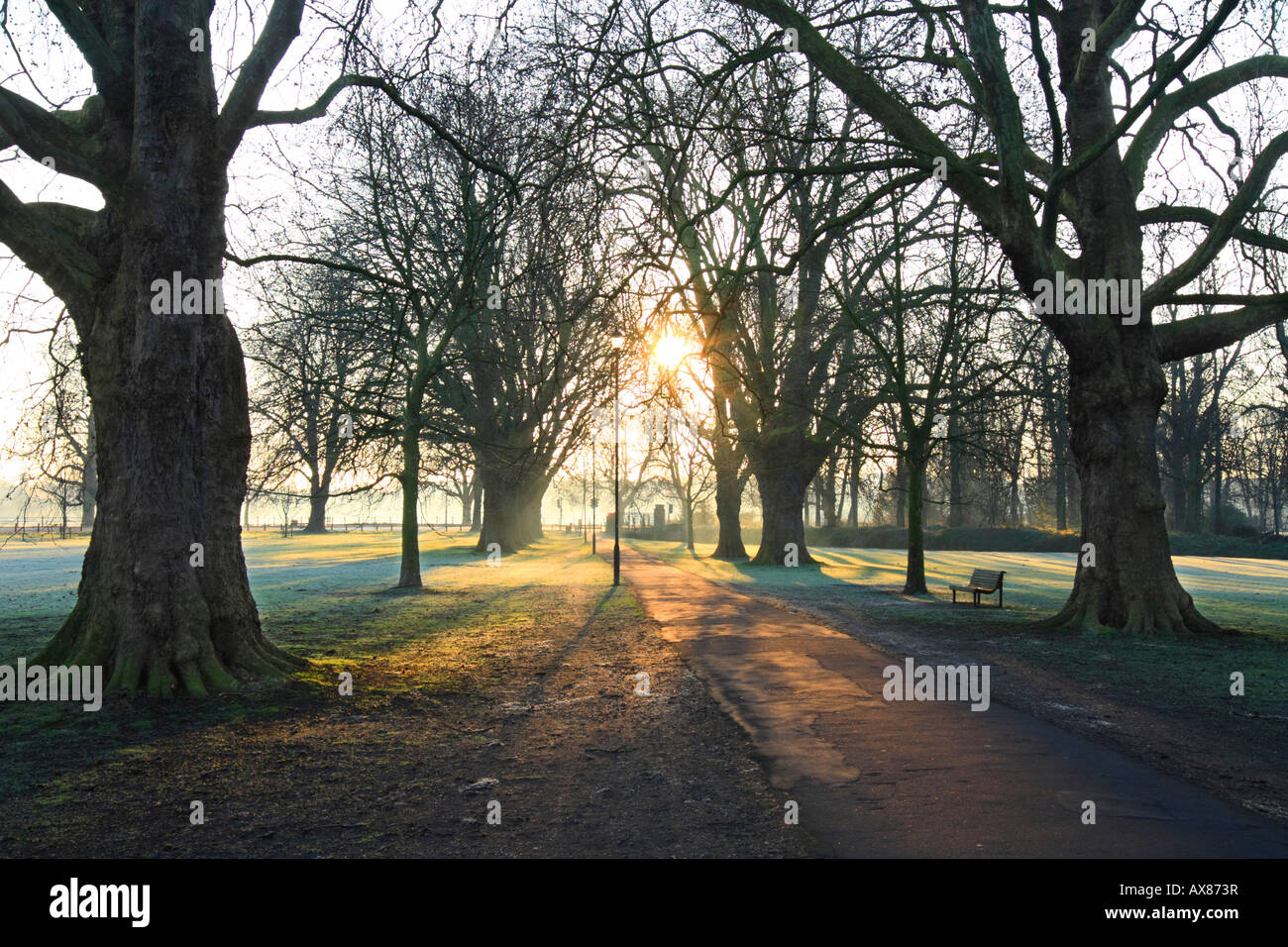 Midsummer common cambridge hi-res stock photography and images - Alamy