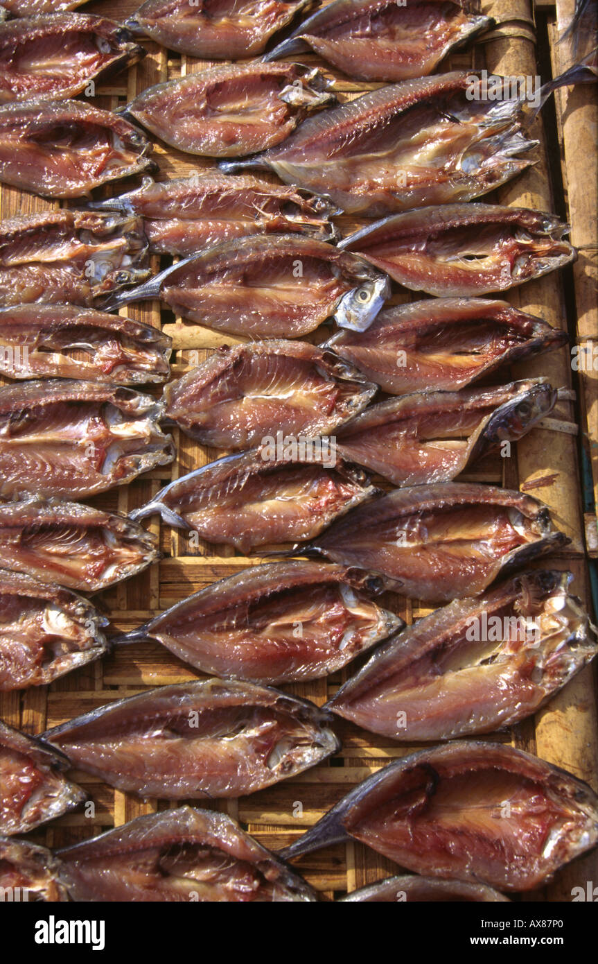 Philippines Palawan Liminangcong drying fish on quayside detail Stock ...