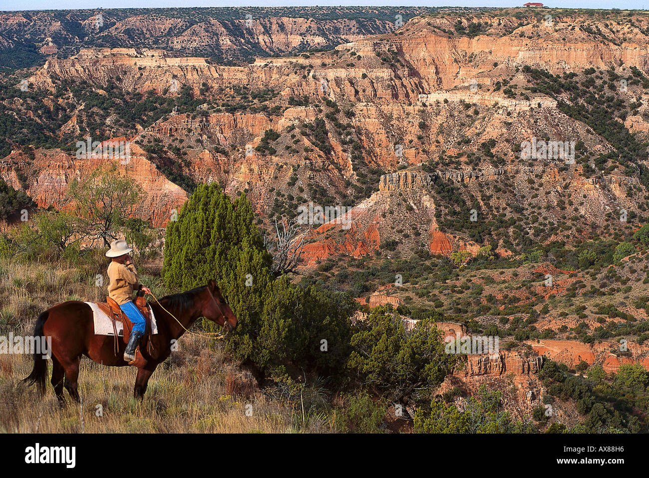 Cowboy on a horse looking at Palo Duran Canyon, Texas USA, America ...