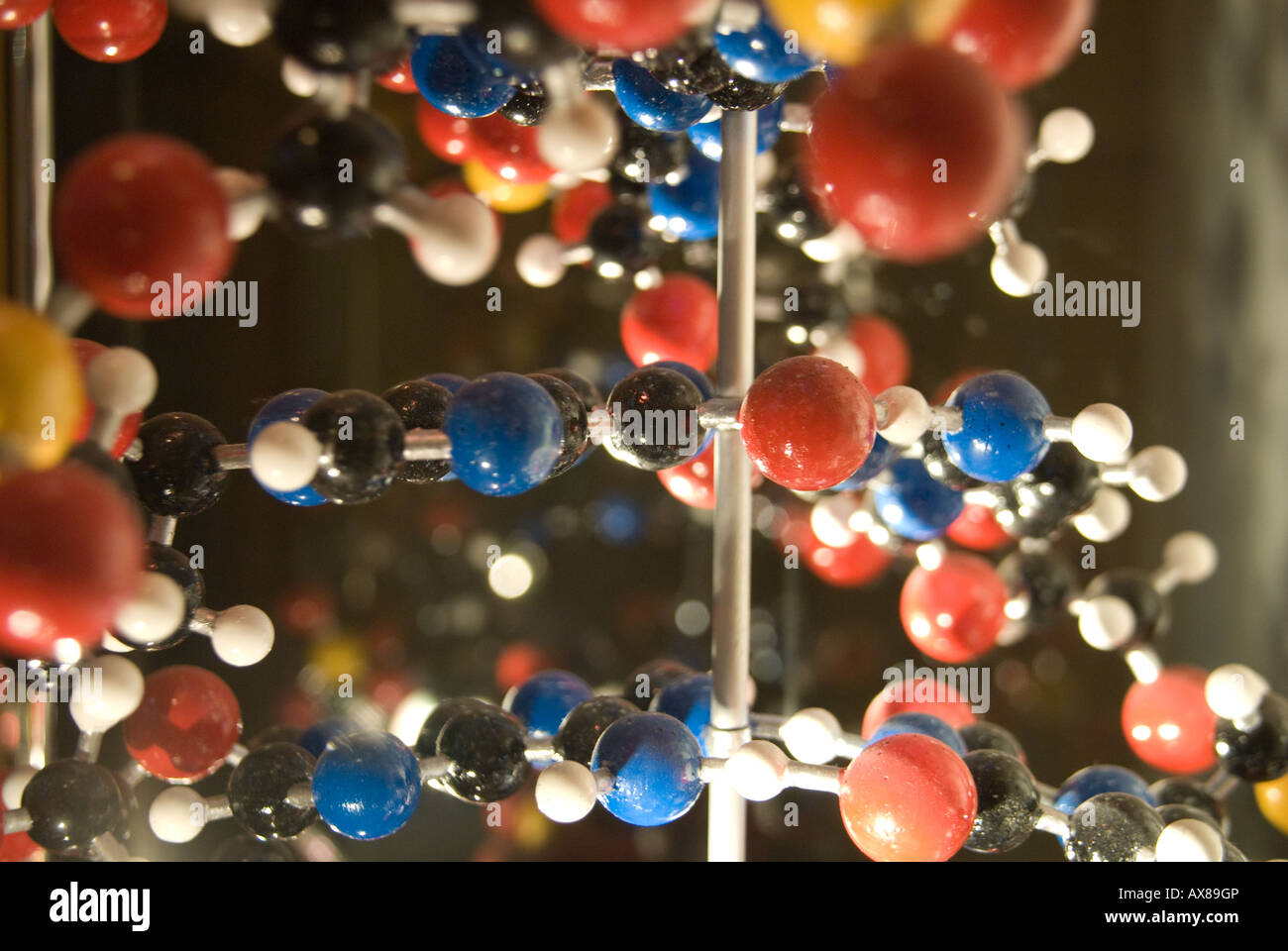 DNA Oxford University Museum of Natural History Stock Photo - Alamy