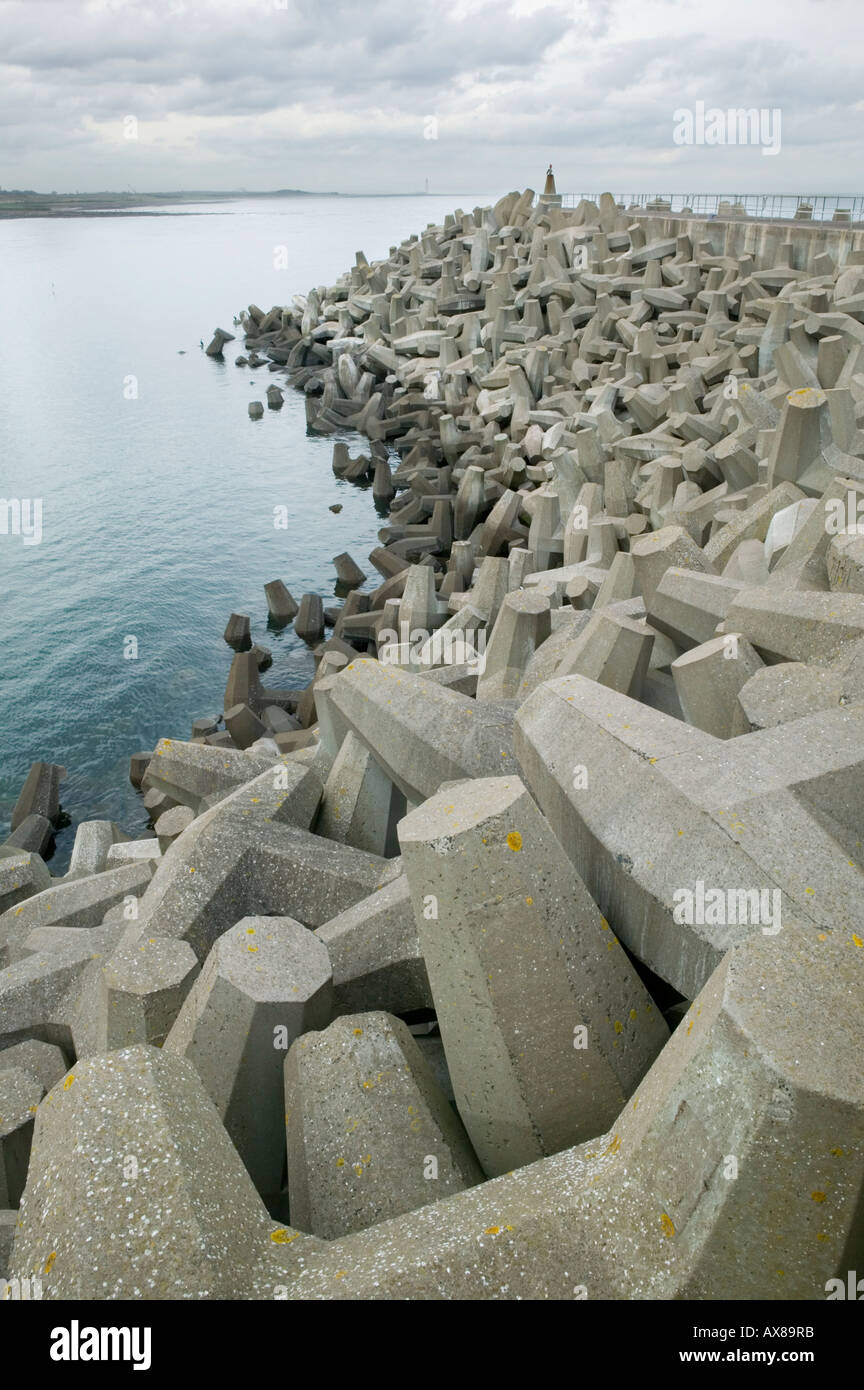 Dolos Wikipedia, 44% OFF | www.pinnaxis.com