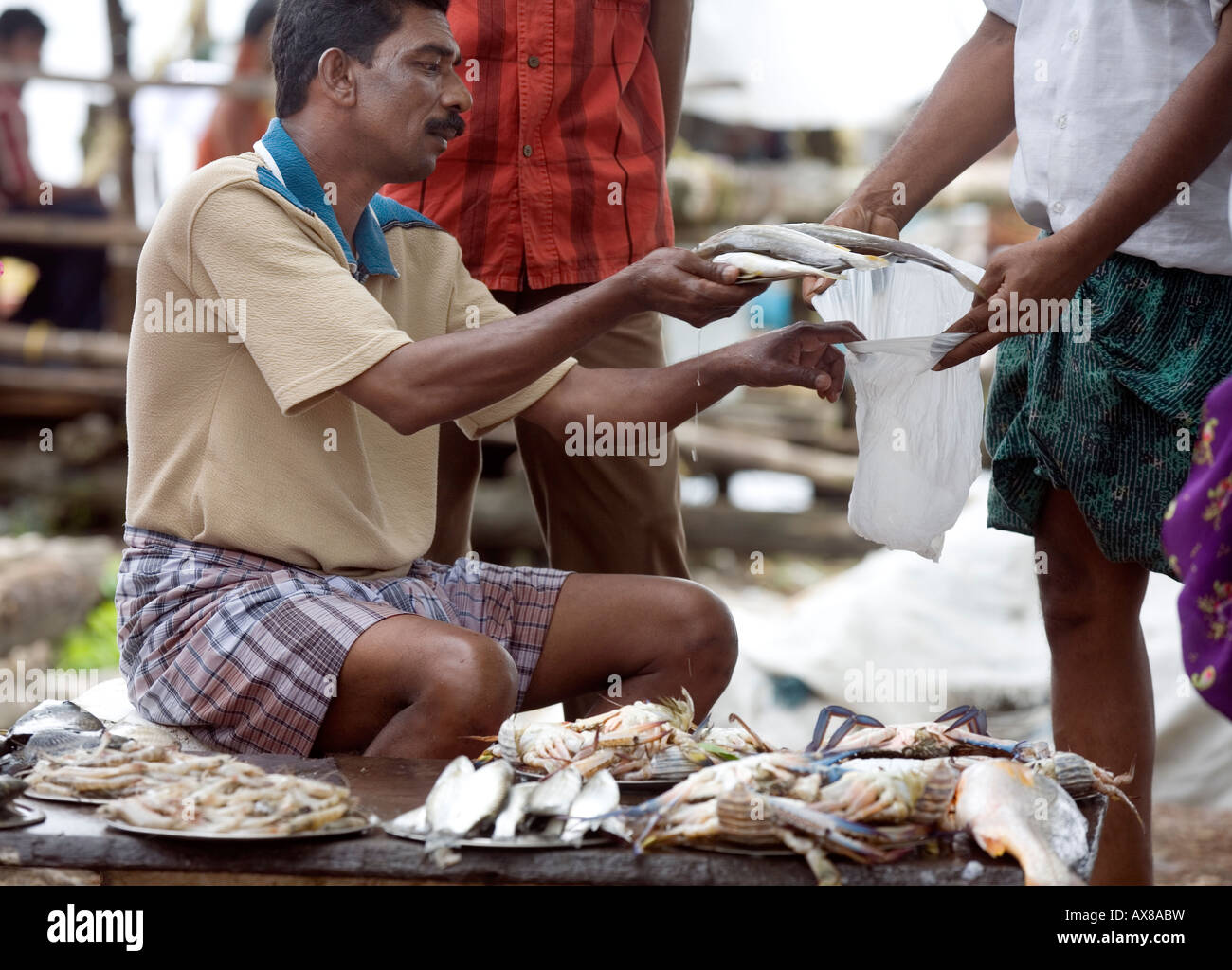 Keralite fishmonger making a sale and packing fish for a customer Open ...