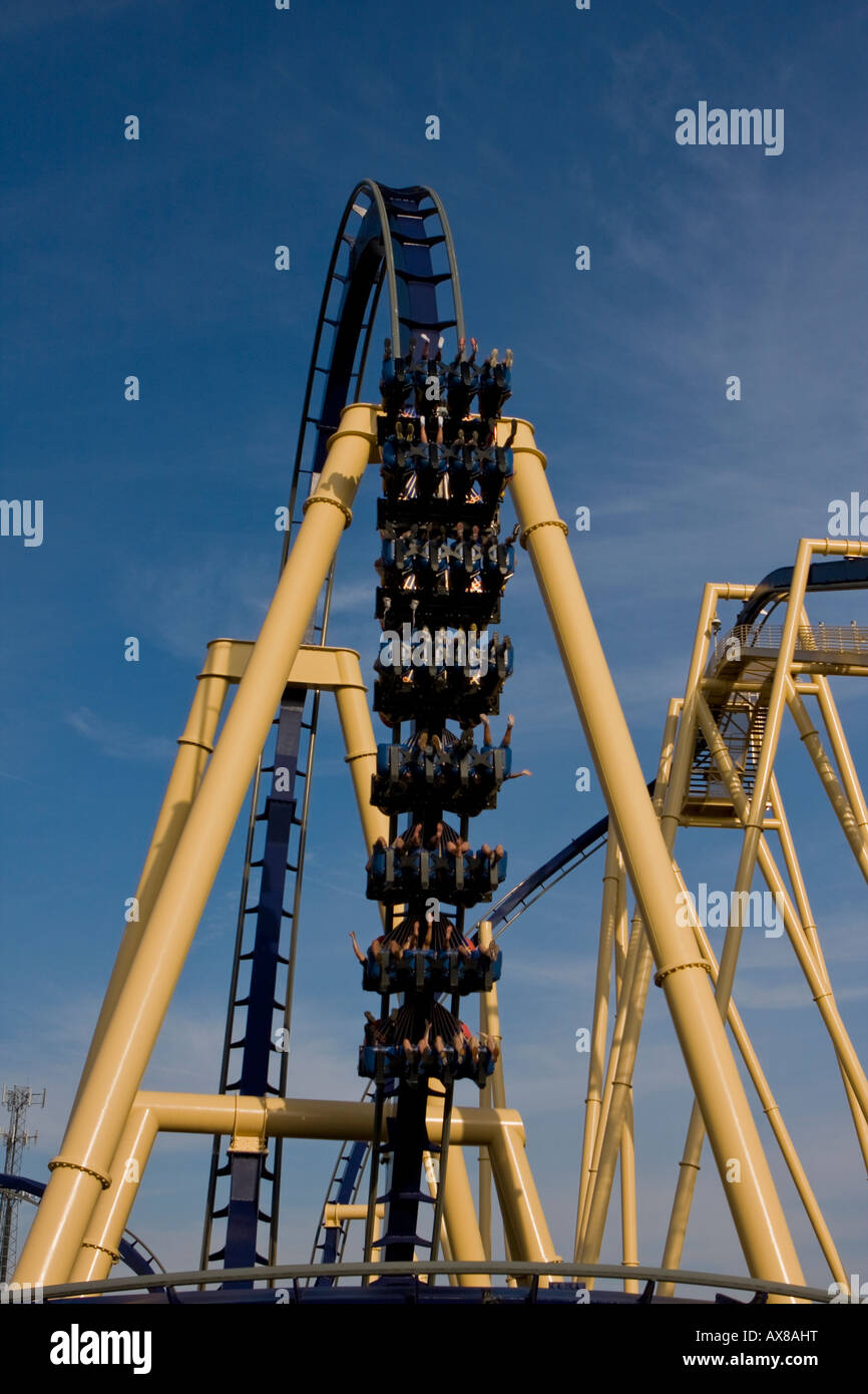 Montu Thrill Ride Roller Coaster At Busch Gardens Florida Stock Photo ...