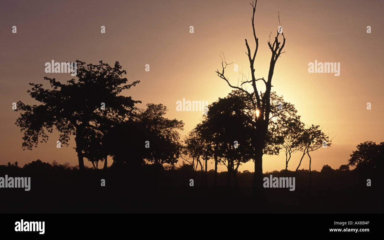 Calauit Island Wildlife Sanctuary Palawan Philippines Stock Photo - Alamy