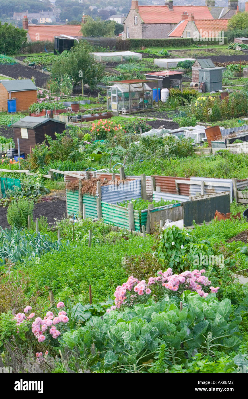 Allotment england hi-res stock photography and images - Alamy