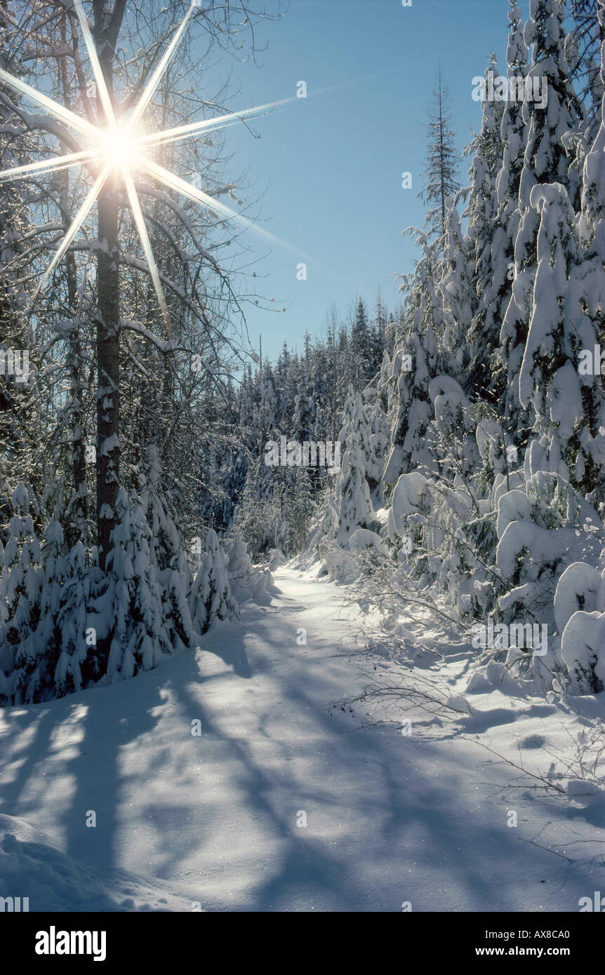 Troy montana hi-res stock photography and images - Alamy