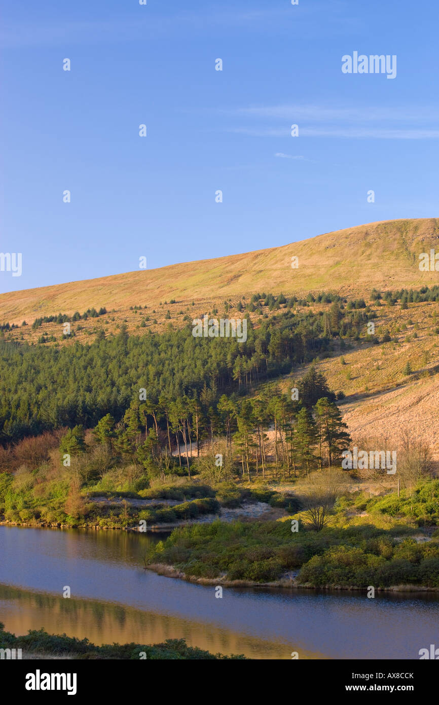 Upper neuadd hi-res stock photography and images - Alamy