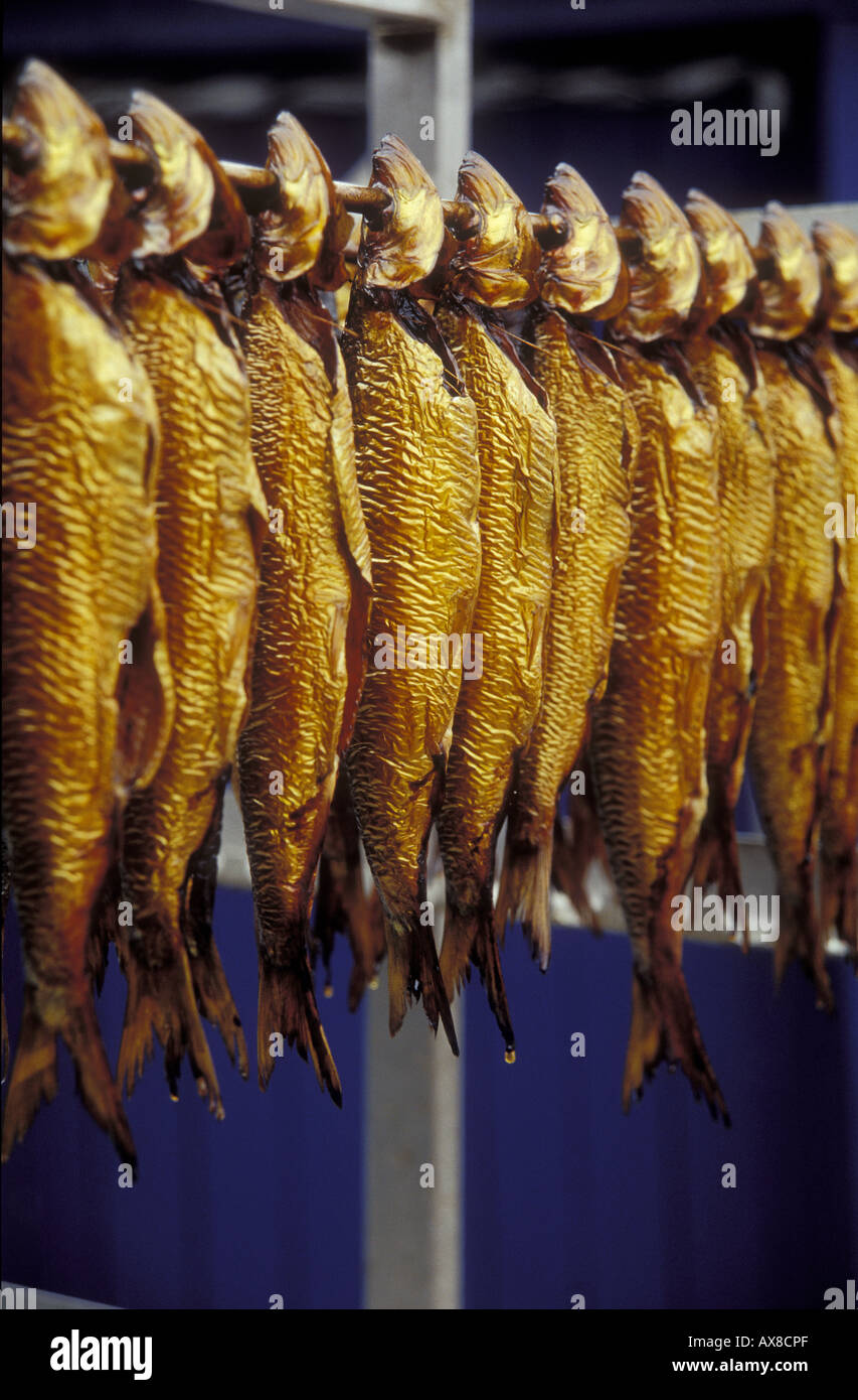 Smoked herring, Bornholm, Denmark, Europe Stock Photo - Alamy