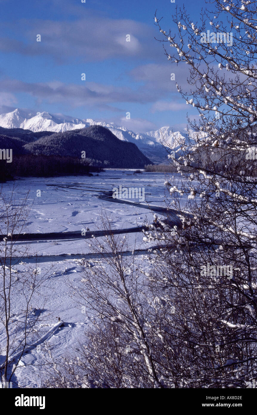 Chilkat valley hi-res stock photography and images - Alamy