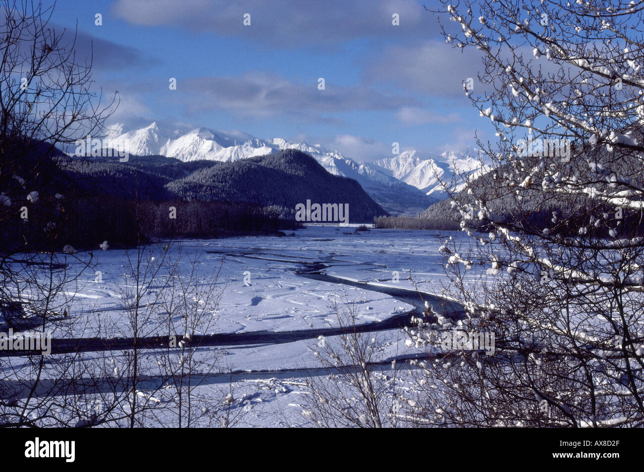 Chilkat valley hi-res stock photography and images - Alamy