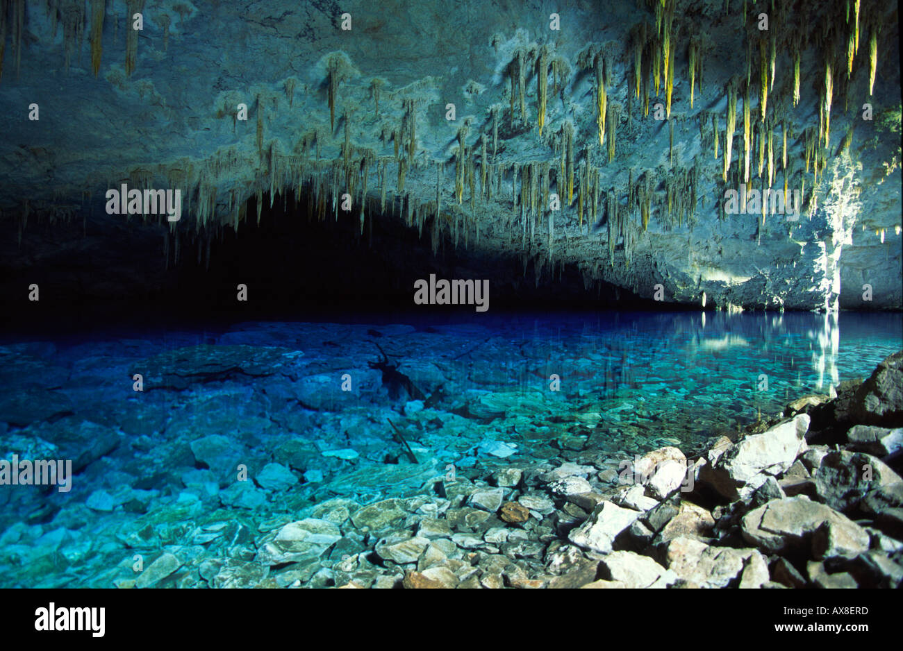 Bonito - Brazil Stock Photo - Alamy