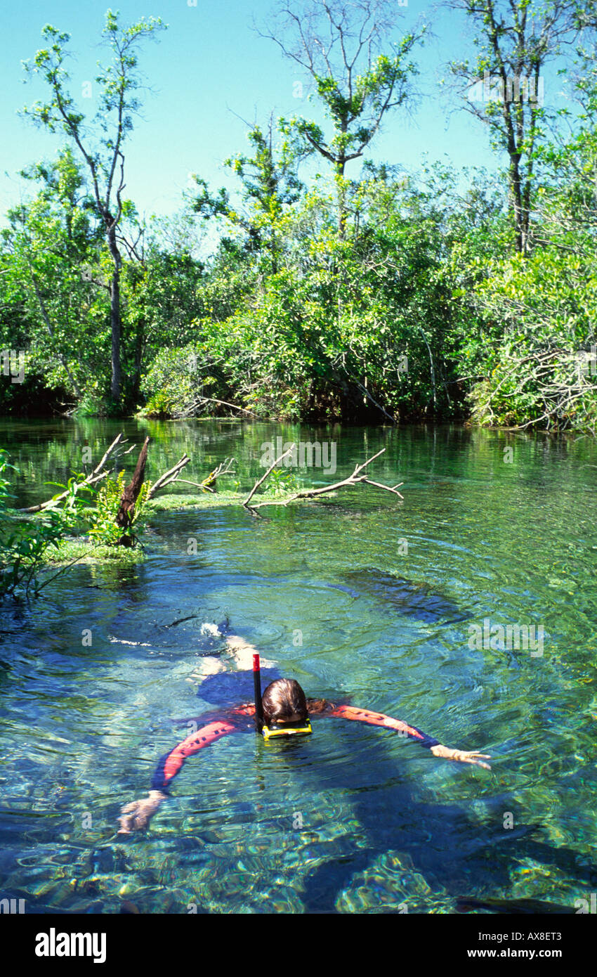 Bonito - Brazil Stock Photo - Alamy