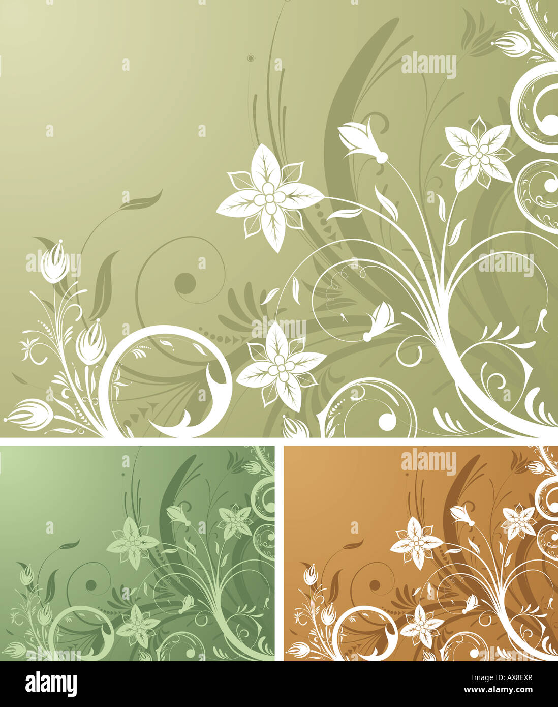 Flower background with variant color Stock Photo - Alamy