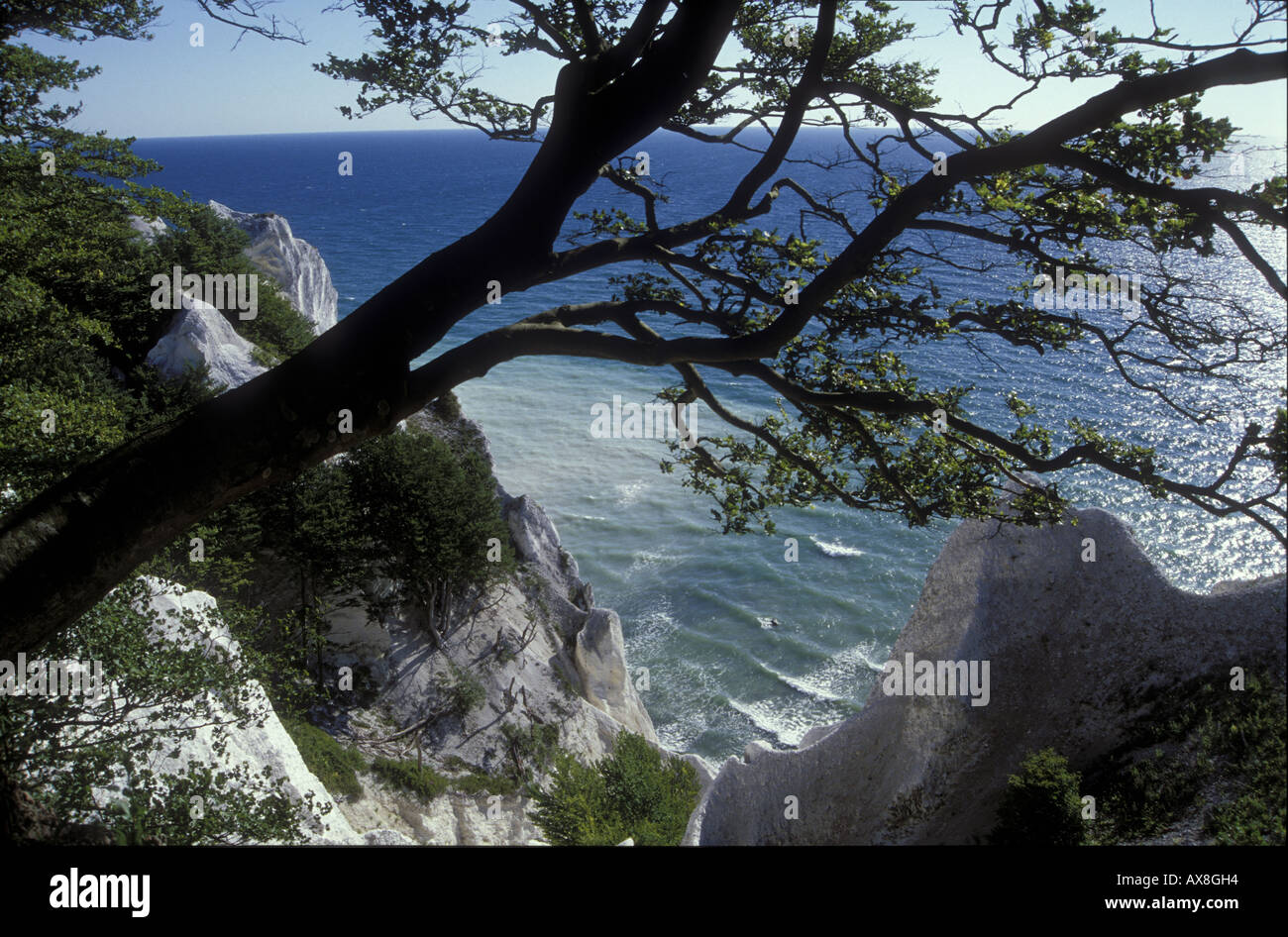 Mon denmark cliff hi-res stock photography and images - Alamy
