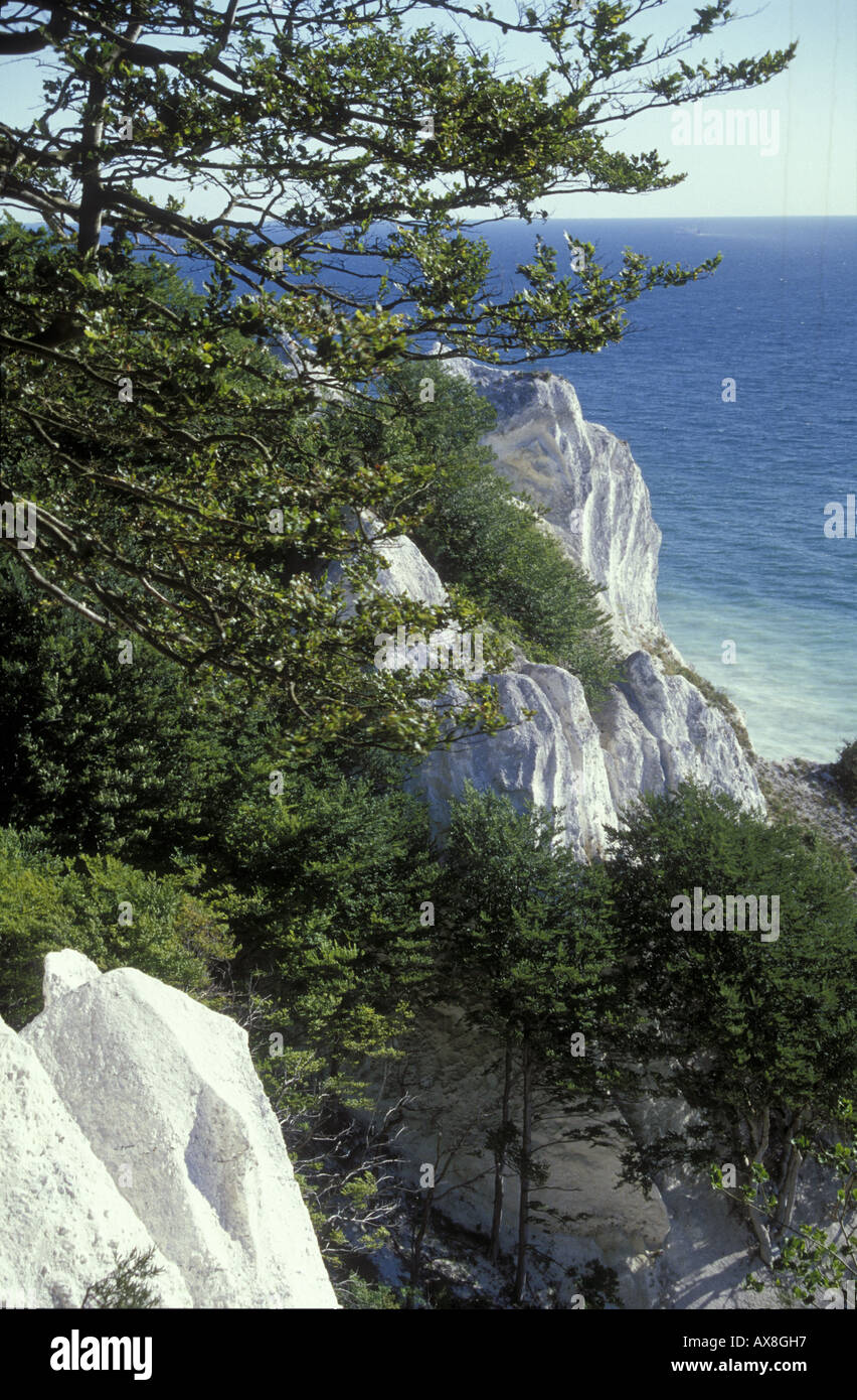 Mon denmark cliff hi-res stock photography and images - Alamy