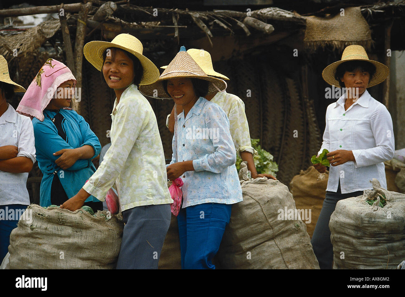 Hainan group hi-res stock photography and images - Alamy