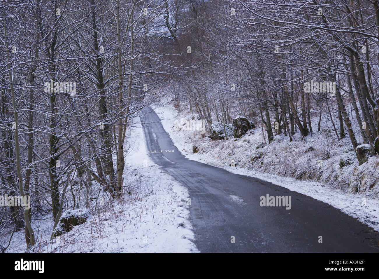 Narrow road through snowy woodland with Slow sign painted on road Stock ...