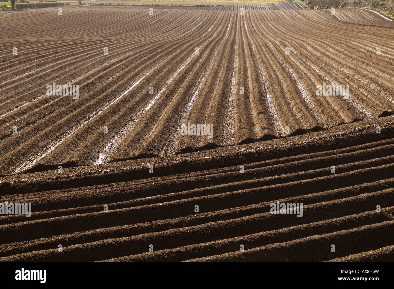 Potato Farm Ireland High Resolution Stock Photography and Images - Alamy