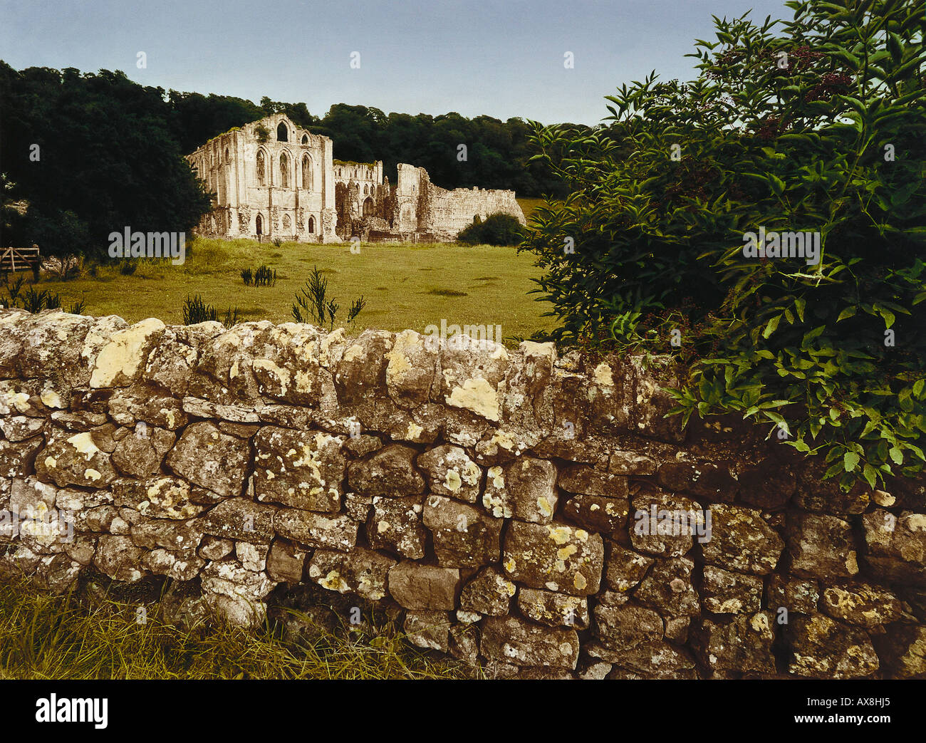 George e stone hi-res stock photography and images - Alamy