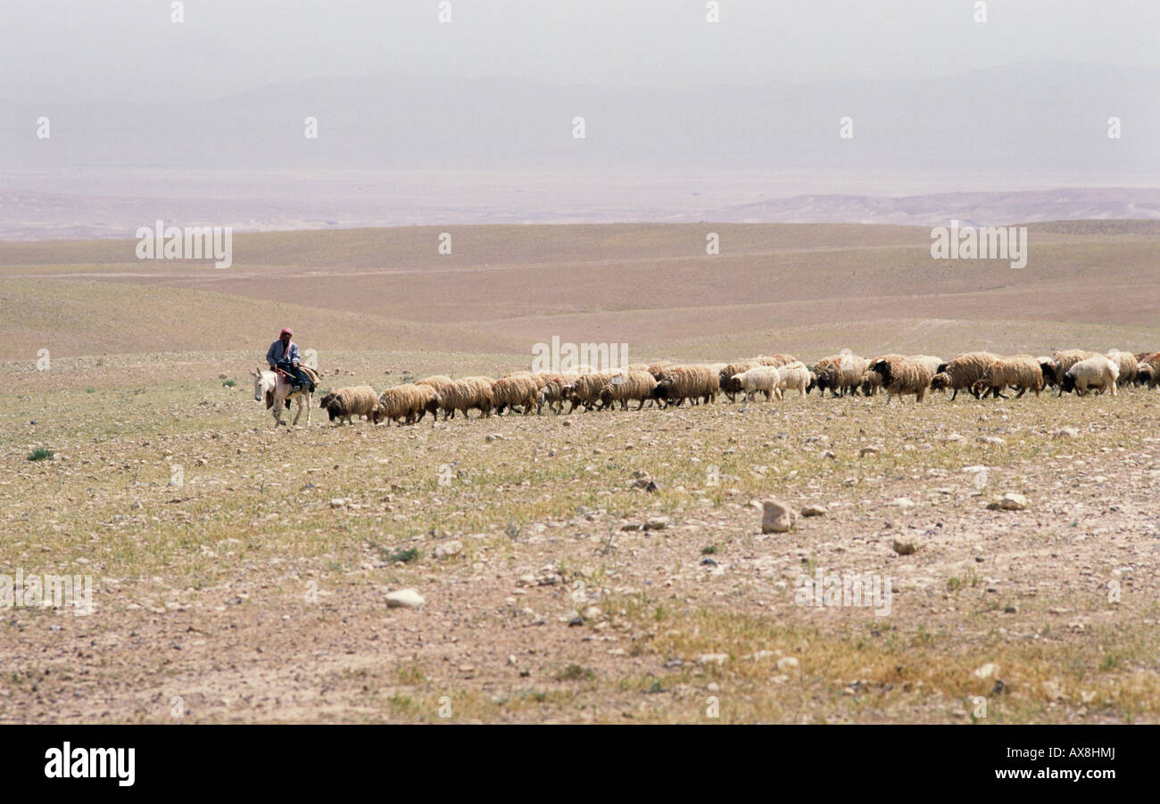 Syrian Steppe