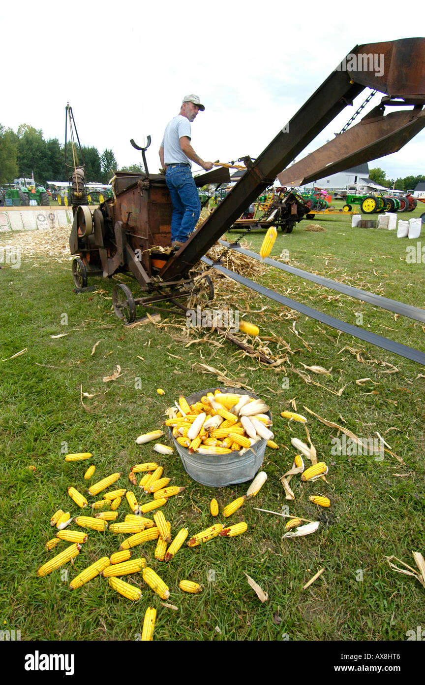 Harvesting corn with historic corn harvester Stock Photo - Alamy
