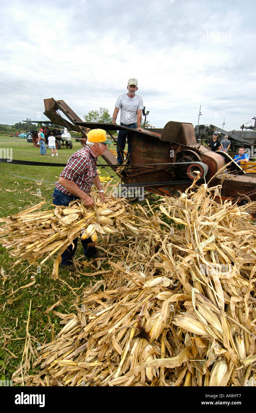 Harvesting corn with historic corn harvester Stock Photo - Alamy