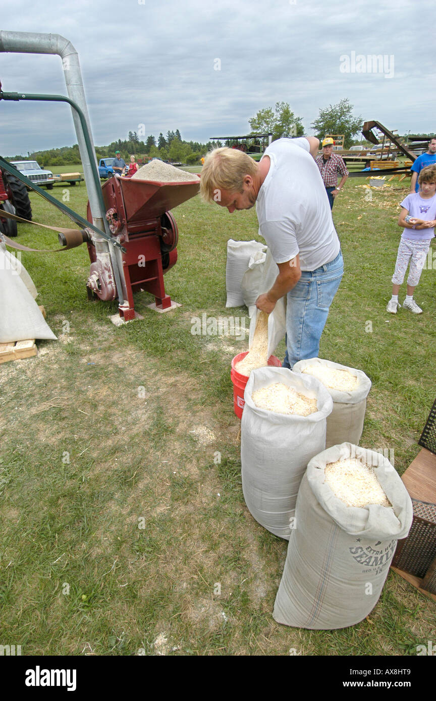 Farmer mixing grains and preparing them for fee to cattle Stock Photo ...