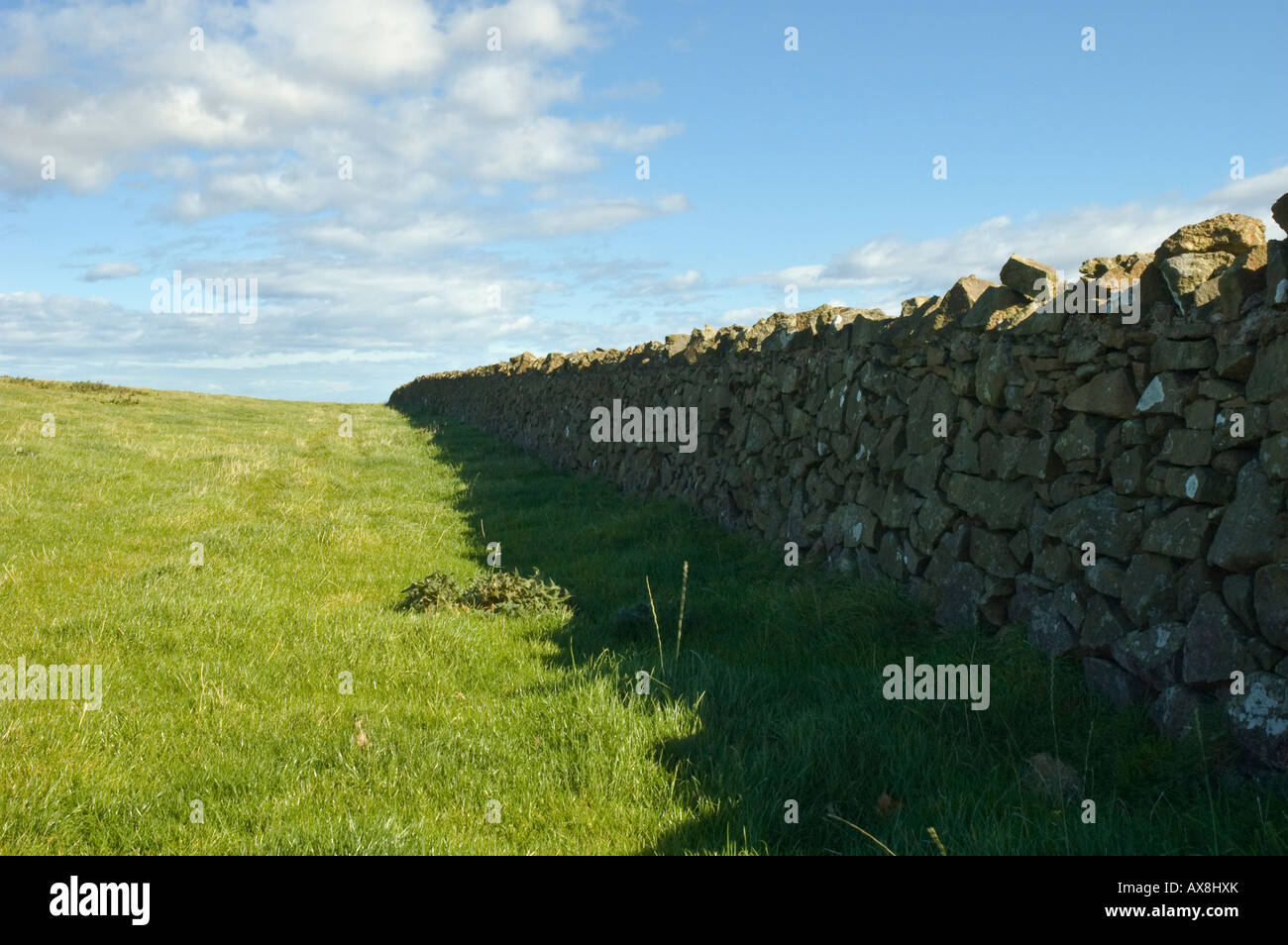 Drystane dyke hi-res stock photography and images - Alamy