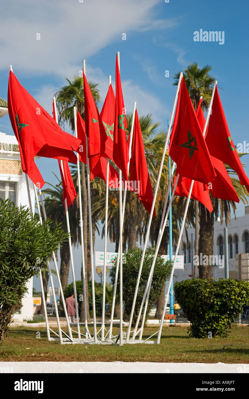 National Flag of Morocco Stock Photo - Alamy