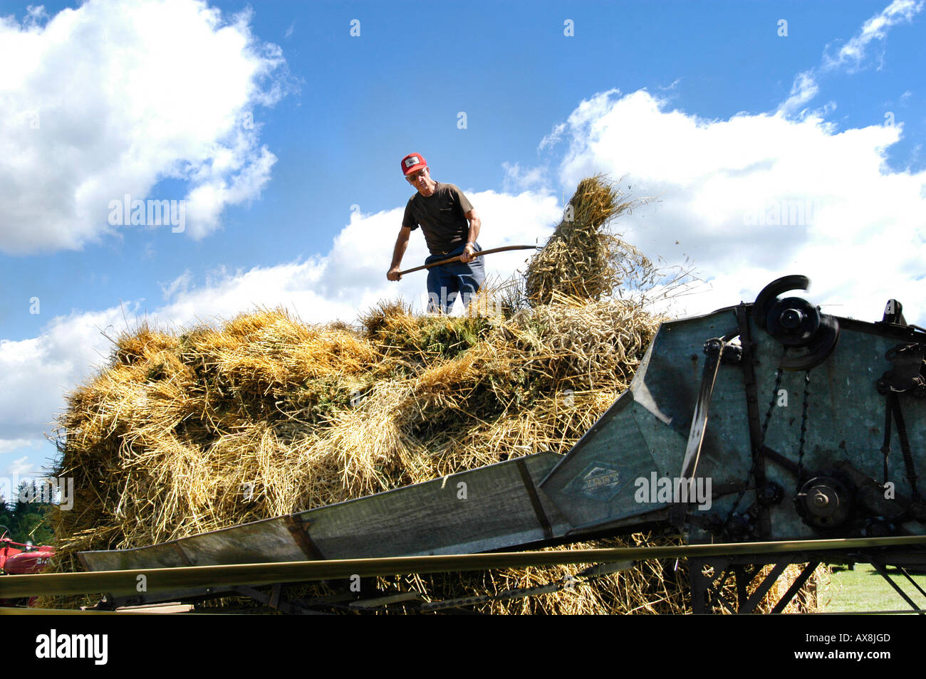 Living history demonstration of threshing oats with steam power at an ...