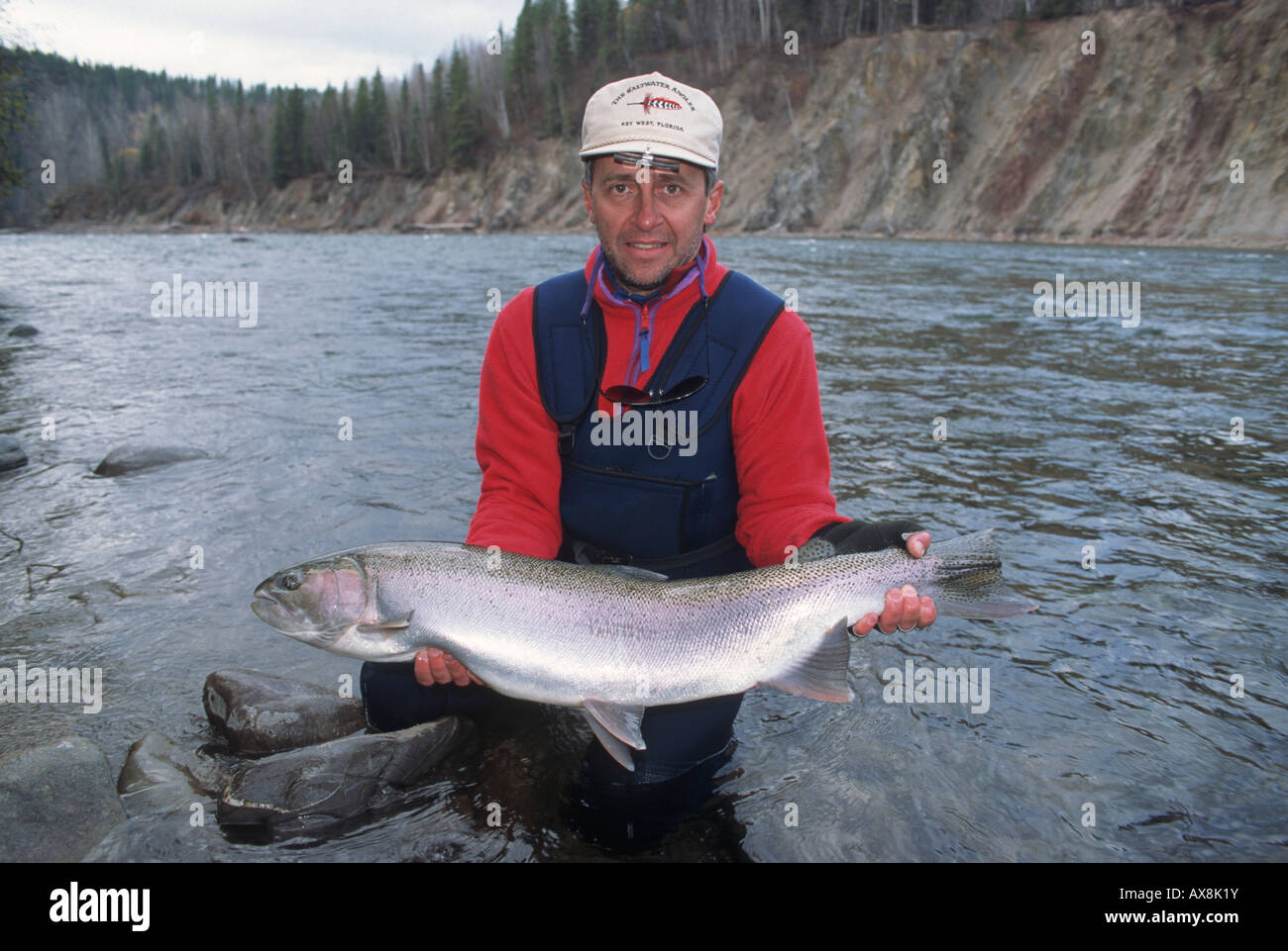 Flyfisherman holding large steelhead prior to release Bulkley river BC ...