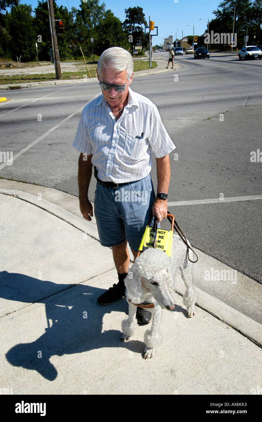 Blind man dog hi-res stock photography and images - Alamy