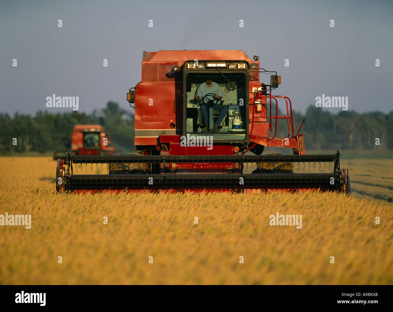International combine front view hi-res stock photography and images ...