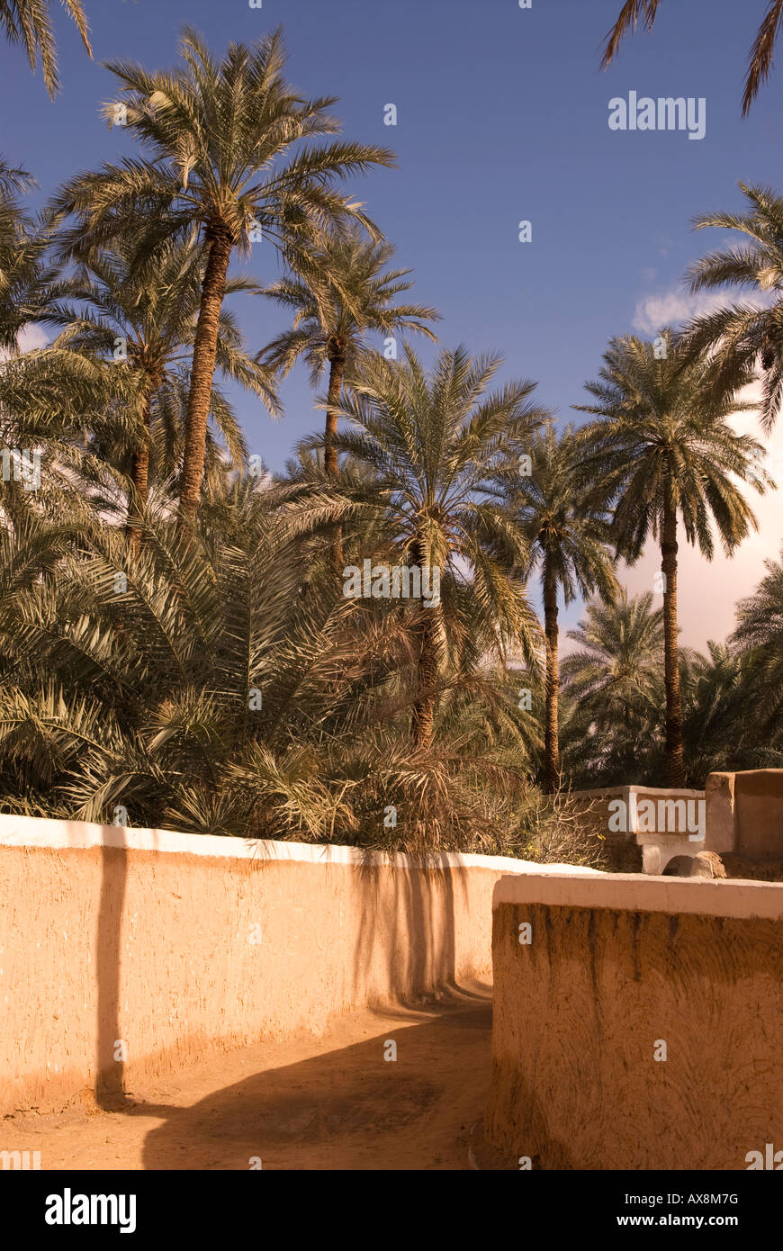 A view of the Old City of Ghadames Libya A UNESCO World Heritage site ...